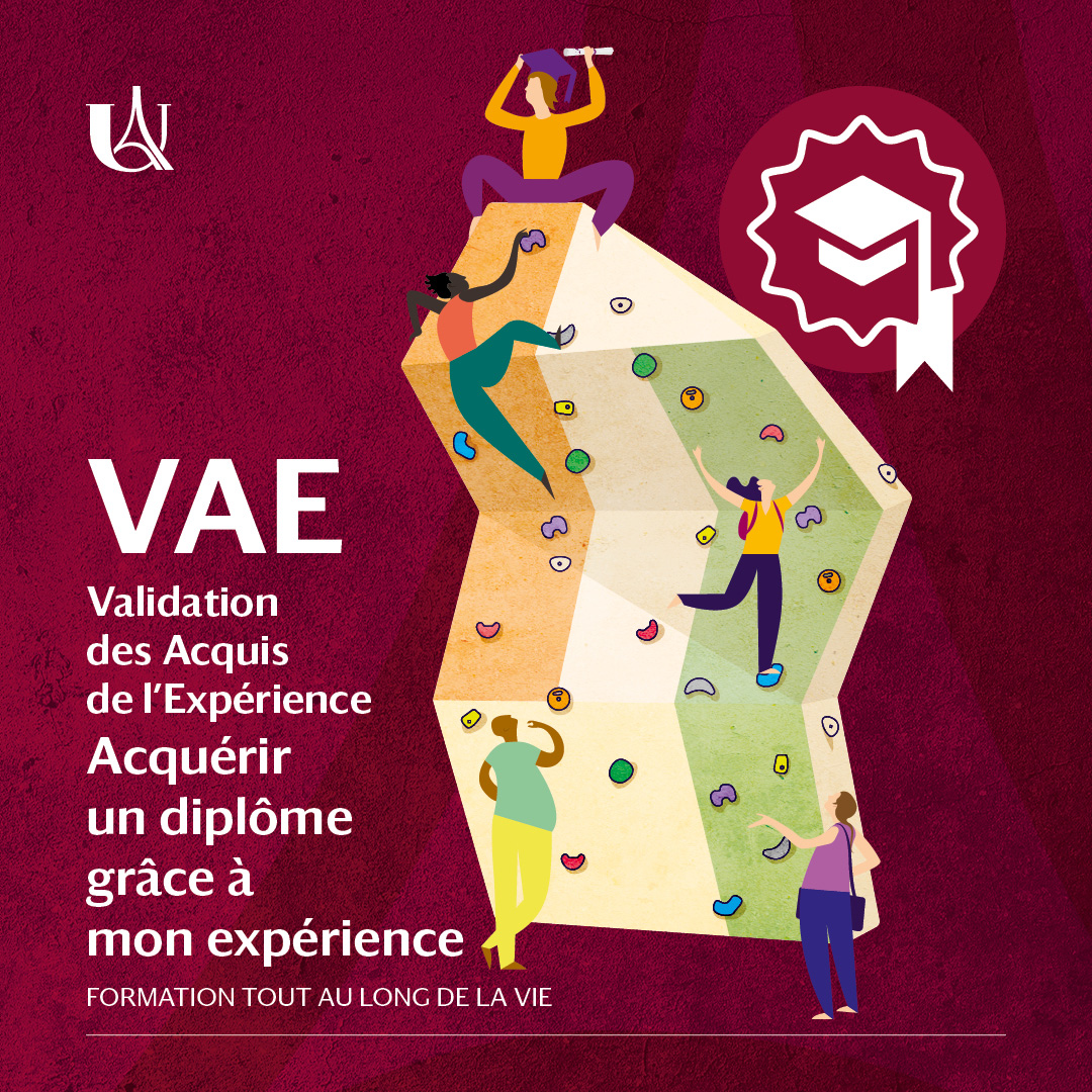 Affiches des VAE, VAE doctorat et VAPP – domraza.fr